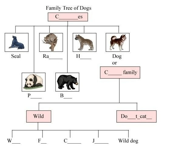 NCERT Solutions for Class 6 English Chapter 2 How the Dog Found Himself ...