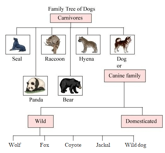NCERT Solutions for Class 6 English Chapter 2 How the Dog Found Himself ...